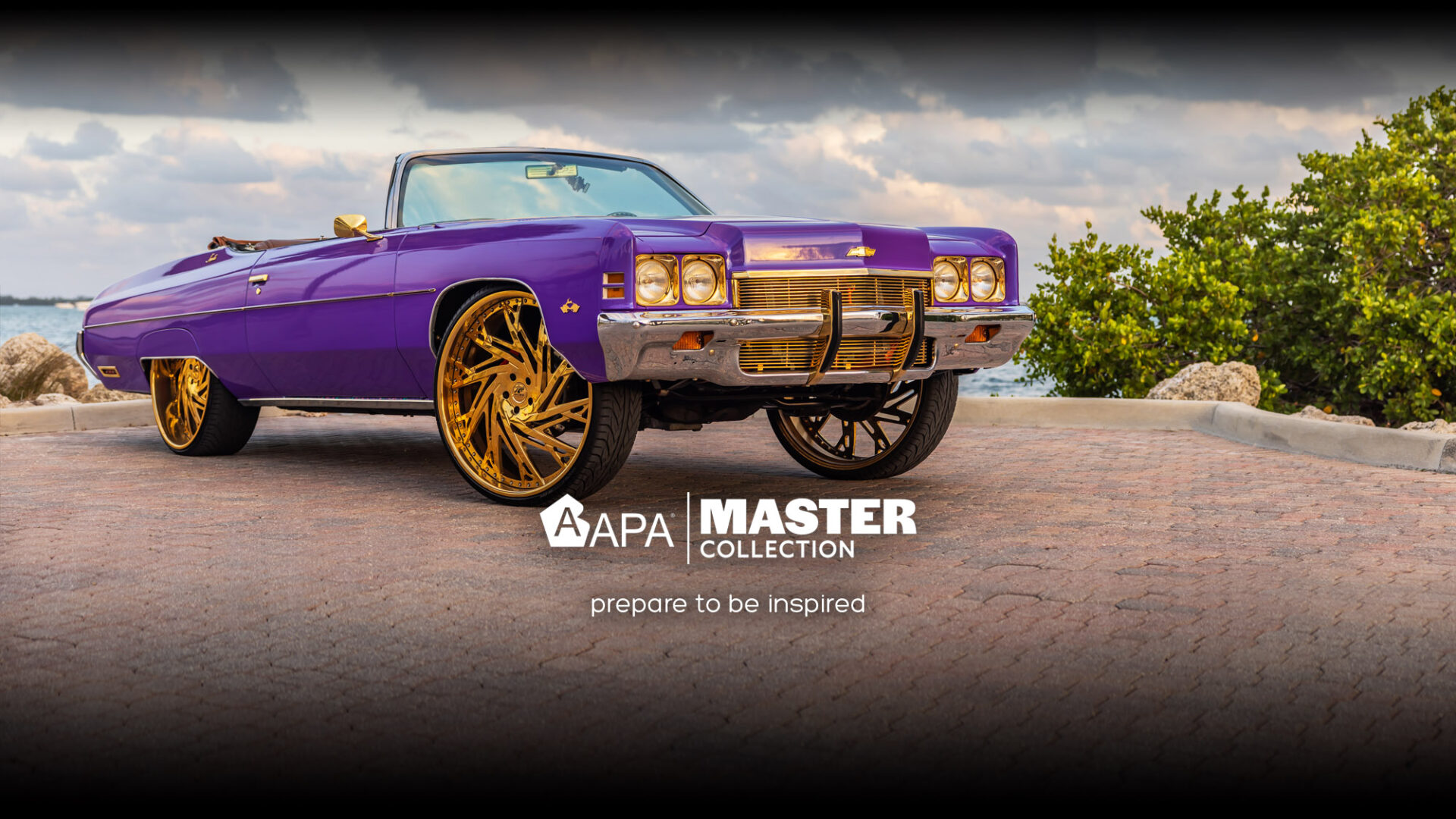 Master Collection | EVOLV