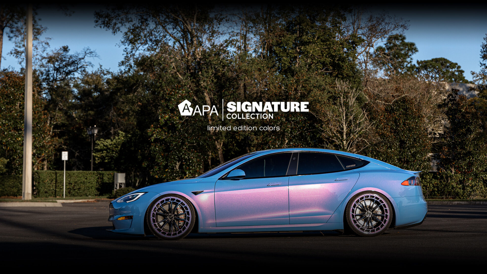 Signature Collection | EVOLV