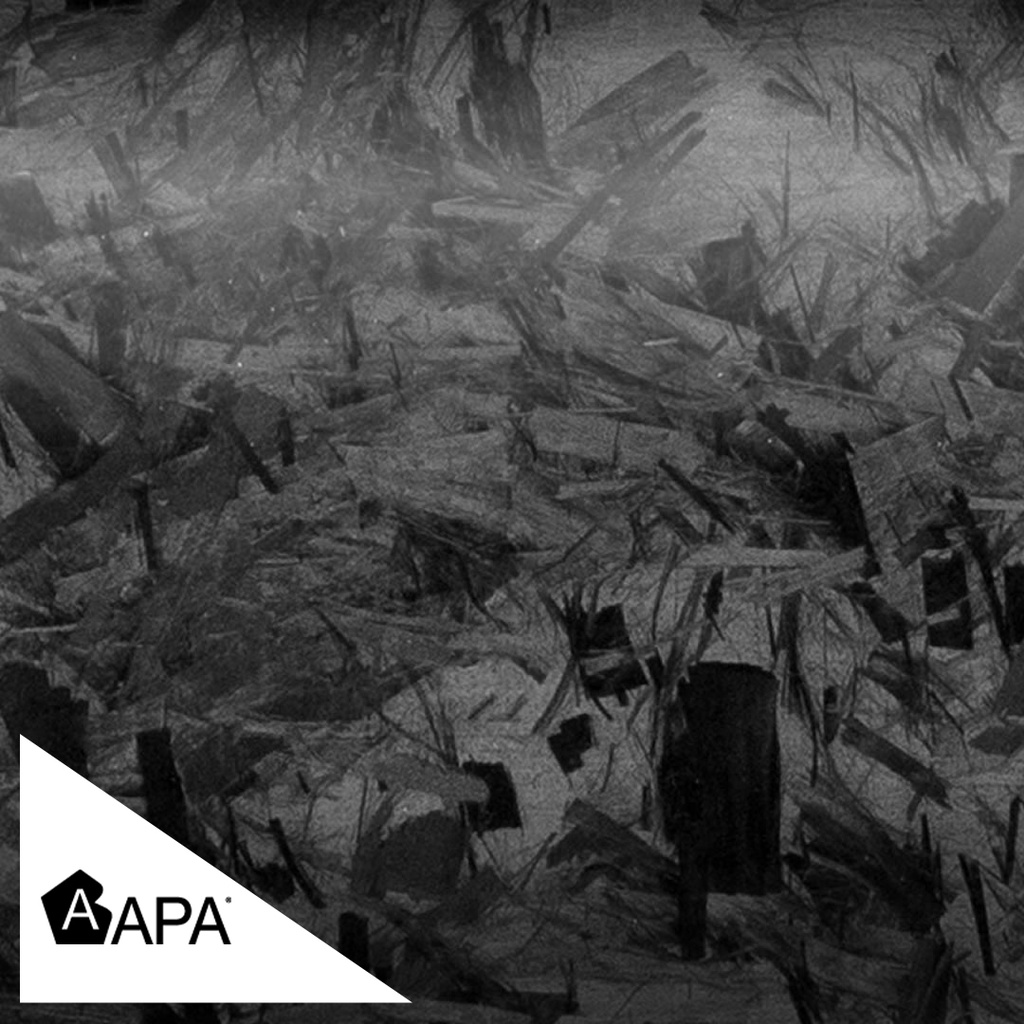 Carbon Forged 3D | EVOLV